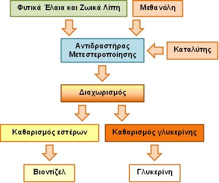 ΕΝΕΡΓΕΙΑΚΑ ΦΥΤΑ ΚΑΙ Ο ΡΟΛΟΣ ΤΟΥΣ ΣΤΗΝ ΕΠΙΛΥΣΗ ΤΟΥ ΕΝΕΡΓΕΙΑΚΟΥ ΖΗΤΗΜΑΤΟΣ ...